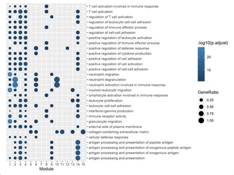Go Enrichment Analysis Of Genes In Functional Modules The Color
