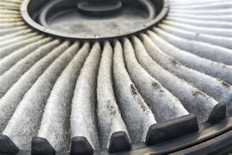 Thoughts 왜 필터는 사라질 수 밖에 없는가 워터베이션