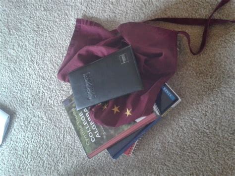 Sociology Chapter 6 Strain Theory