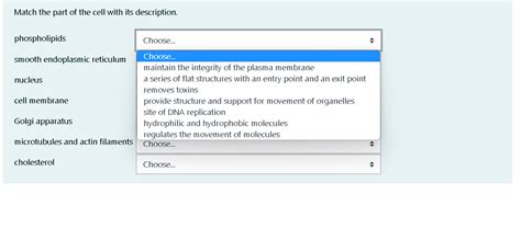 Solved Match The Part Of The Cell With Its Description Chegg