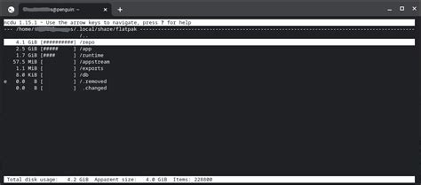 Input Output Error Crostini