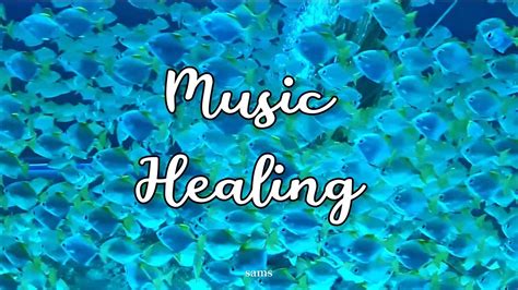 음악힐링 잔잔한 바다속같은 힐링 음악 3시간 명상음악 스파음악 스트레스해소음악 이완음악 수면음악 연속듣기 카페음악 Youtube