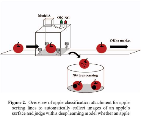 Figure 1 From Tuning Small Datasets For A Custom Apple Sorting System Based On Deep Learning