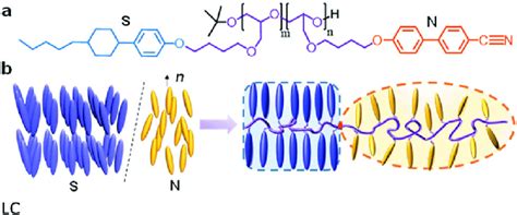 A Chemical Structures Of An S N Diblock Copolymer And B Coupling Of Download Scientific