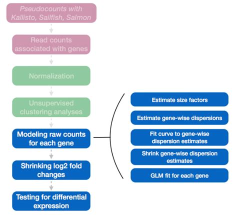 Rna Seq 详细教程： `deseq2` 差异表达分析（7）deseq2需要用归一化的数据吗 Csdn博客