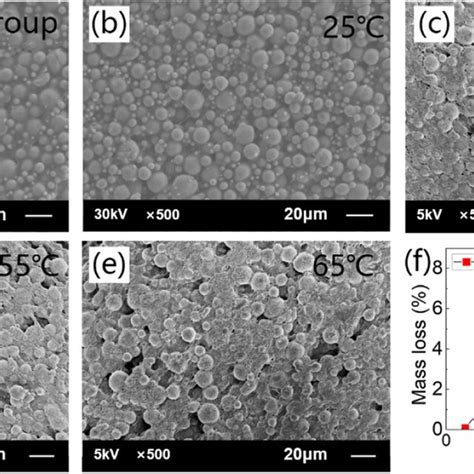 microstructure of samples after solvent debinding at different