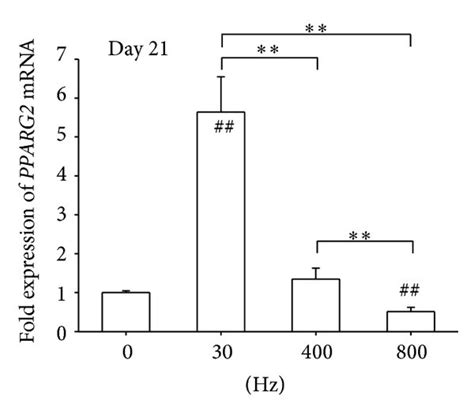 acoustic frequency vibratory stimulation afvs modulates expression of