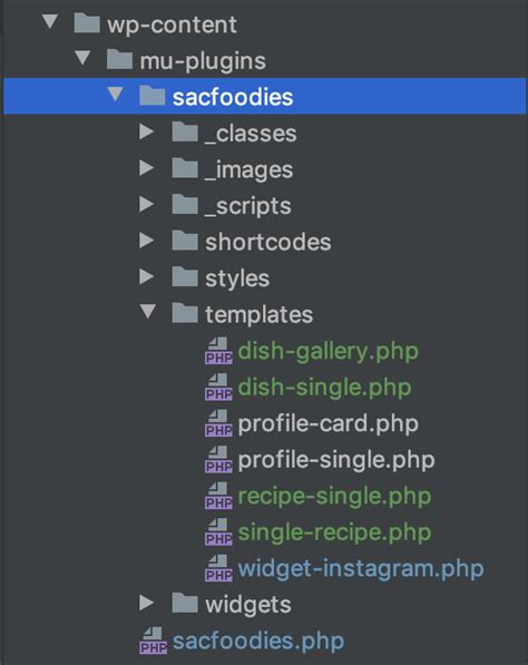 Theme Development Template Hierarchy For Custom Post Type Pages WordPress Development Stack