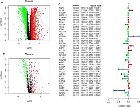 Exploration The Significance Of A Novel Immune Related Gene Signature In Prognosis And Immune