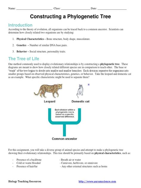 how to read a phylogenetic tree 3 part activity phylogenetic