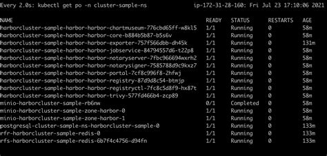After Upgrade From V101 To Master The Harborcluster Status Is Fail
