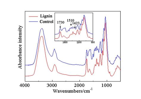 Infrared Spectra And Local Amplified Infrared Spectra Of Pcf During Download Scientific Diagram