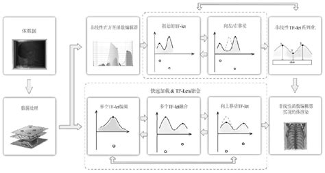 基于直方图和非线性内嵌式传递函数的医学数据可视化方法