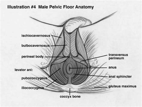 Orgasm Control 6 Ways To Train Your Body To Finish On Command