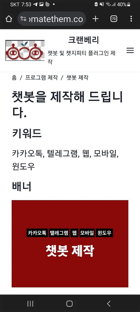 디스코드 크랜베리 챗봇 Ai·gpt 챗봇 포트폴리오 크몽