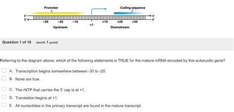 Solved Promoter Coding Sequence Chegg Com