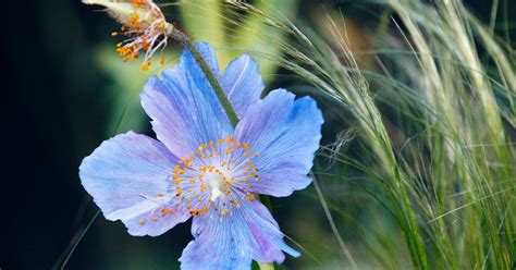 Гороскоп для всіх знаків зодіаку на липень — поради на 2025 рік від астрологині — Астрологія