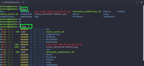 Exa A Modern Replacement For Ls Command Vitux