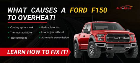 German & European Car Experts in Dubai