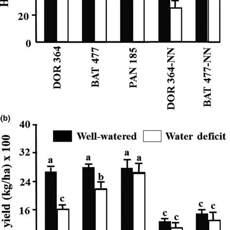 Schematic Representation Of Common Bean Root System Architecture With