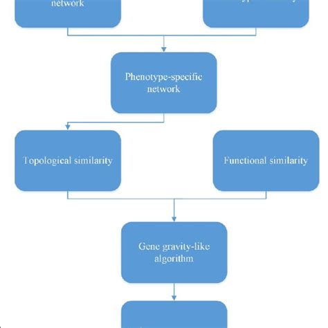 Workflow For The Prediction Of Disease Genes Download Scientific Diagram
