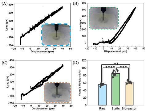Computational Model For Early Stage Aortic Valve Calcification Shows
