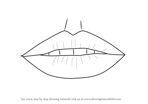 How Draw Realistic Lips Lipstutorial Org