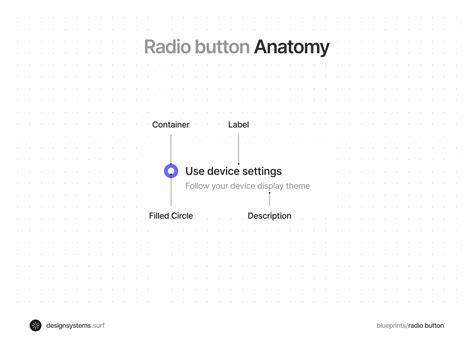 radio button blueprints