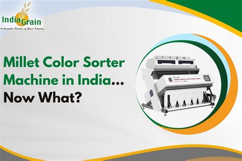 Millet Processing In India With Your New Millet Color Sorter Machine