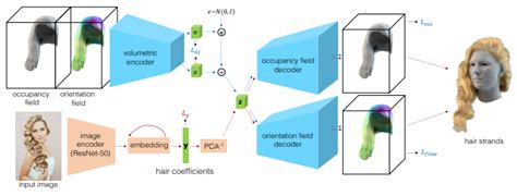 南カリフォルニア大学ら、1枚の画像から3dヘアを再構築するdeep Learningを用いたモデリング法を発表 Seamless