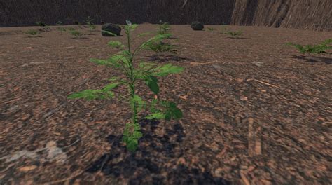 Yabani Bitki Object Detection Dataset V1 2023 01 17 12 22am By Buse Nur Ali