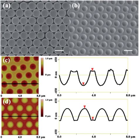 a an sem image of a sio 2 monolayer fabricated using an interface