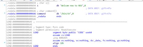 NSSCTF gift pwn 灵盾信安 博客园