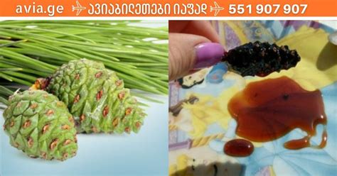 გამოიყენეთ გირჩის მურაბა გაციების საწინააღმდეგოდ იმუნიტეტის ასამაღლებლად და გულ სისხლძარღვთა