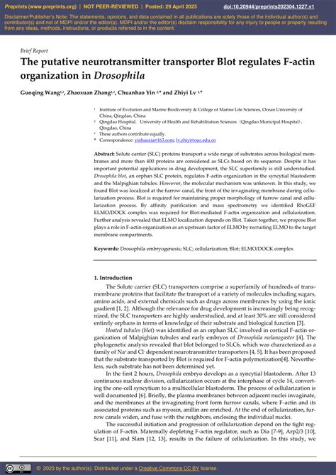 Pdf The Putative Neurotransmitter Transporter Blot Regulates F Actin Organization In Drosophila