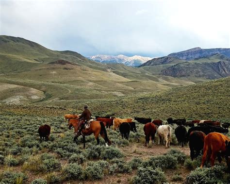 Range Management Society For Range Management