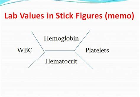 CMP Exam 1 Flashcards Quizlet