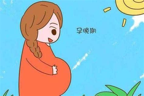 孕晚期怀孕周期搜狗百科
