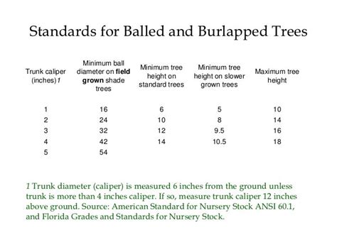 Tree Installation And Establishment Ppt