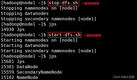 「大数据 2 1」hdfs集群启停命令 hdfs启动 csdn博客