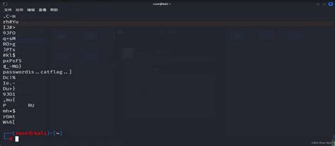 Catctfmiscjust Cat Flag Or Type Flag Csdn博客