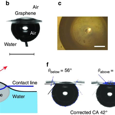 Captive Bubble Configuration For Measuring The Contact Angle Of Water