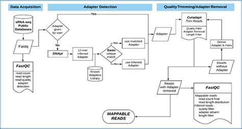 DIANA MAP Analyzing MiRNA From Raw RNA Sequencing Data To Quantification RNA Seq Blog