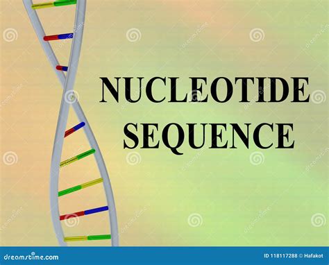 NUCLEOTIDE SEQUENCE Concept Stock Illustration Illustration Of Element Disease