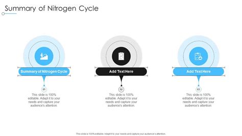 Summary Of Nitrogen Cycle In Ppt Powerpoint Presentation Slide Templates Cpp PPT Presentation