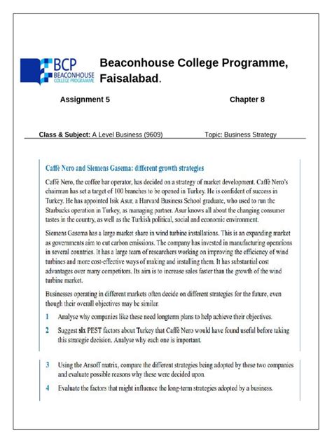 Assignment 5 Business Strategy Pdf