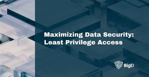 Maximizing Data Security Least Privilege Access Bigid