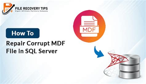 How To Repair Corrupt MDF File In SQL Easy Tricks