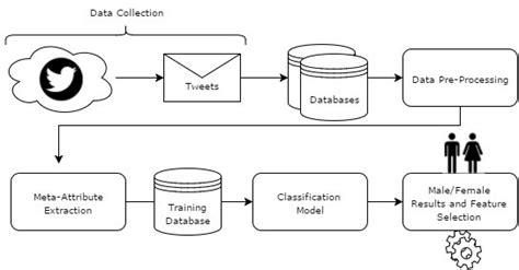 Gender Classification Using Twitter Data Babatunde Onikoyi