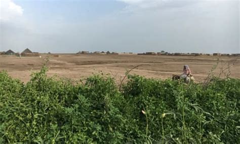 Ethiopias Green Water Management Could Revolutionize Rainfed Agriculture Agritech Insights